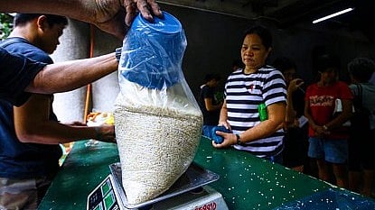NSC Supports Food Security Emergency to Lower Rice Prices in Philippines
