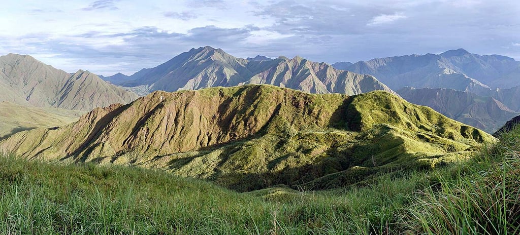 On the range: The Tamaraw and Rangers of Iglit-Baco