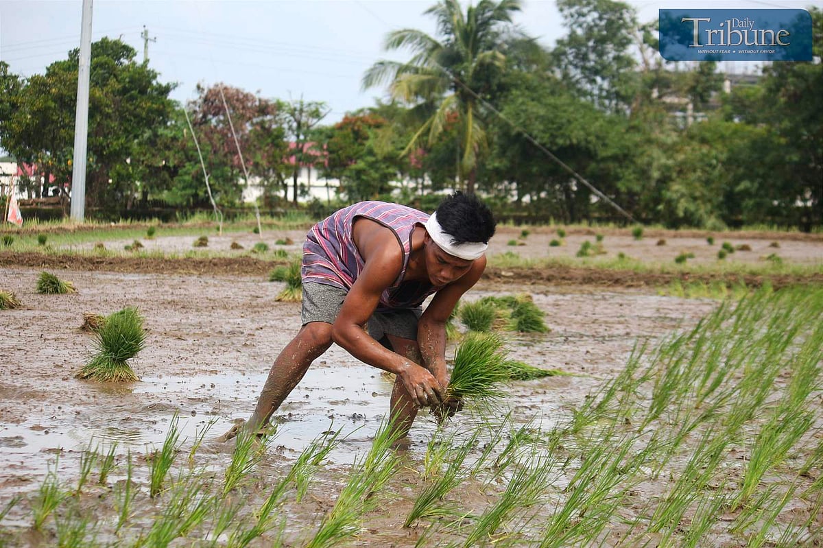 SEC urges agri firms to tap capital market