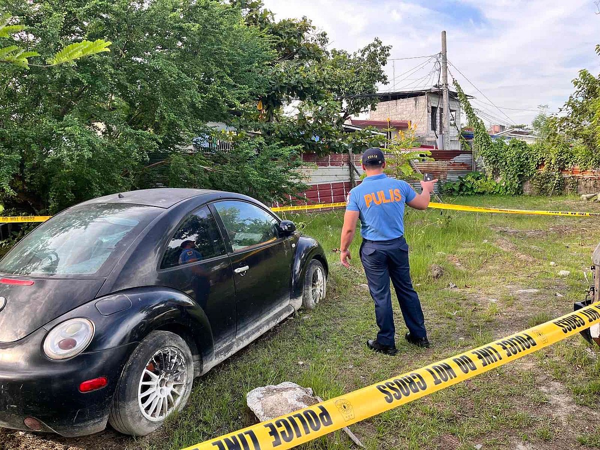 Tragic Discovery in Santo Tomas: Missing Siblings Found Dead in ...