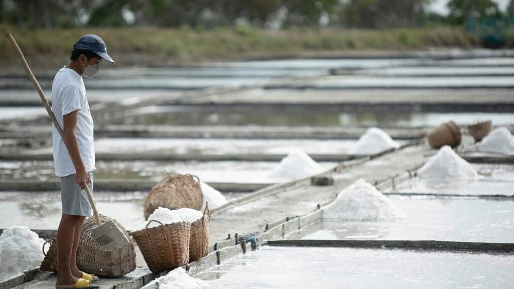 DA forms technical working group for salt farming research