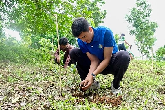 Volleyball superstar joins CCC, Bukidnon town tree-planting