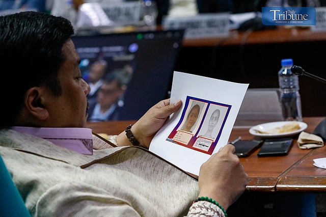 Fingerprint evidence reveals true identity of Alice Guo, Guo Hua Ping