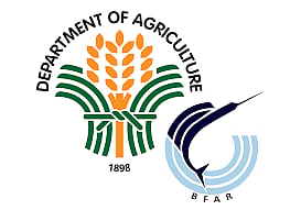 BFAR Deploys High-Capacity Fishing Vessel, Fuel Subsidies to Boost ...