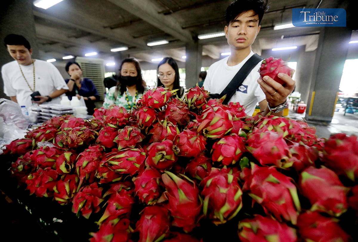 Tropical fruits drive Philippines’ export gains
