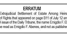 Erratum - Ebenes