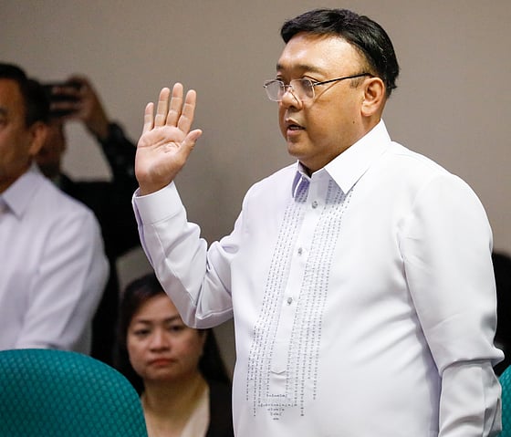 Harry Roque attends Senate POGO hearing
