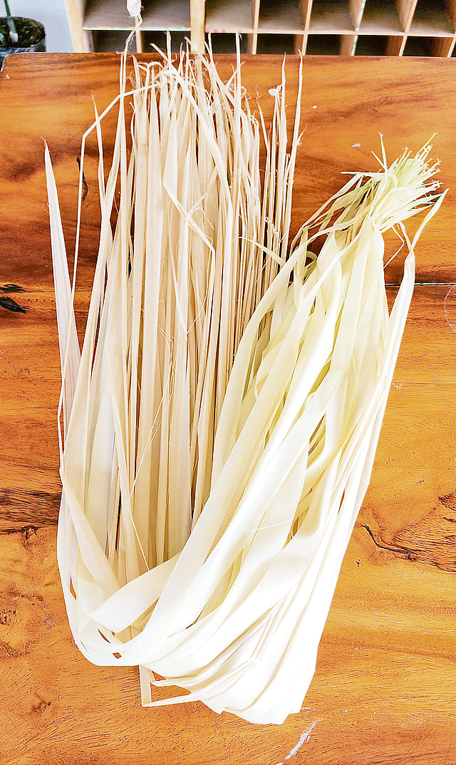 Old saguran in new styles