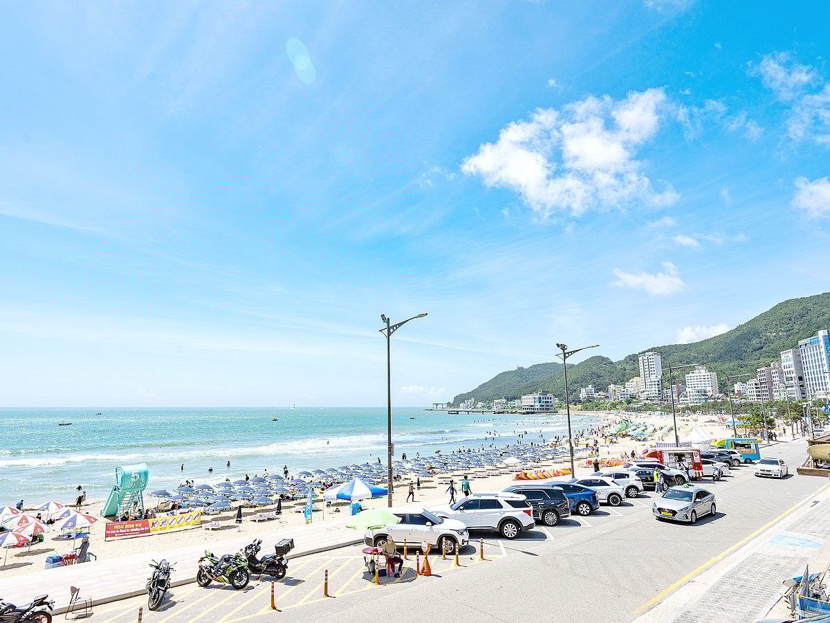 Busan surfing culture is waving