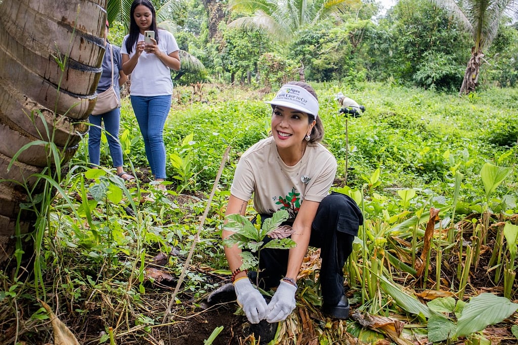 Figaro Foundation leads 'barako' coffee planting