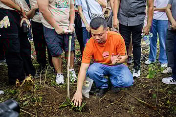 Figaro Foundation leads 'barako' coffee planting