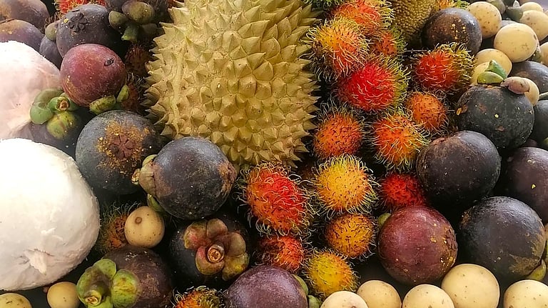 Eat-all-you-can fruits to highlight Kidapawan Fest
