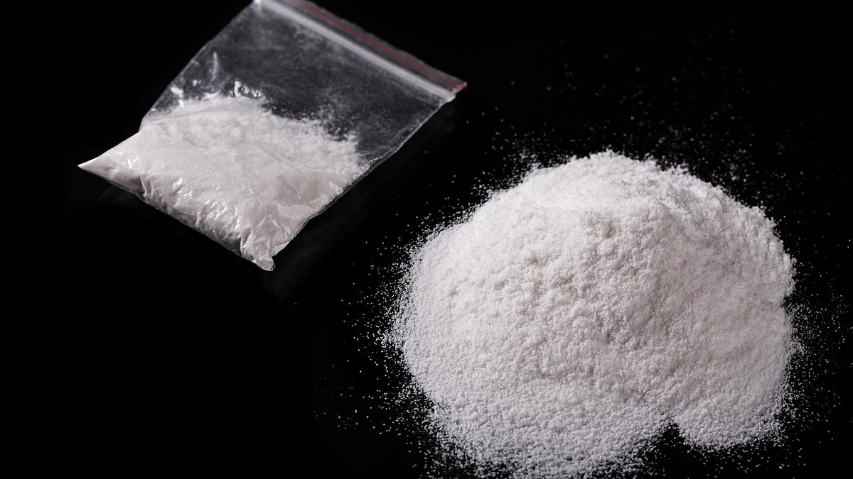 PNP Seizes P20-B Worth of Illegal Drugs in 2024, Marks Major Success in ...