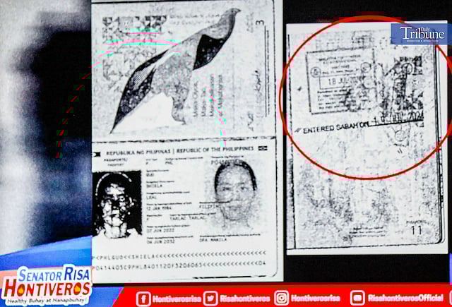 Sheila Guo questioned in Senate