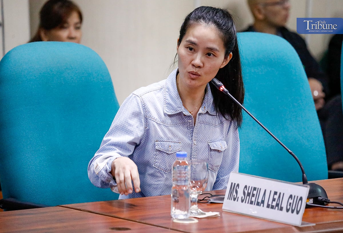 Sheila Guo questioned in Senate