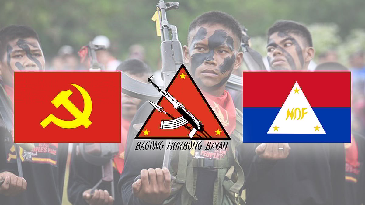 Cpp Npa Logo