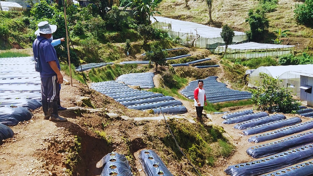 Smart agriculture for Baguio farmers
