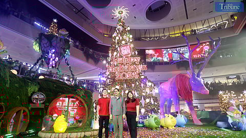 Steven Tan Tree Lighting