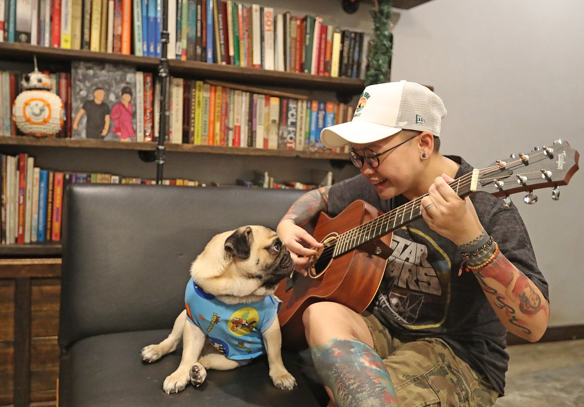 Ice Seguerra: Raised by dogs (Or ‘what my dogs taught me about being ...