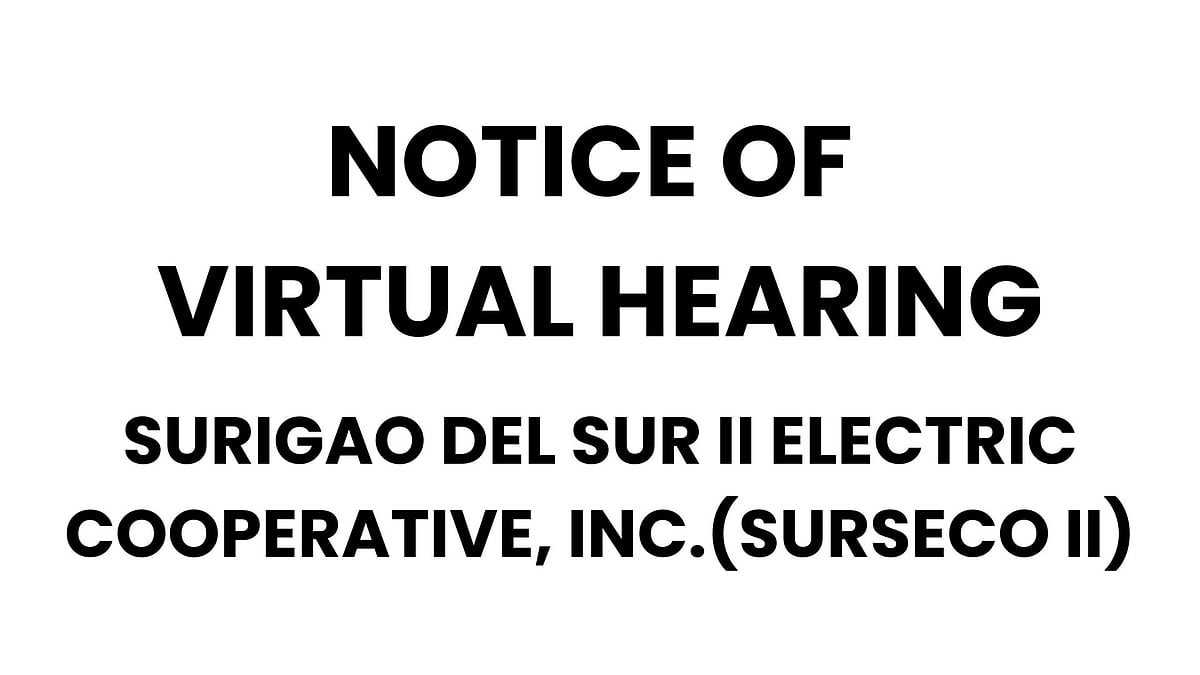 Surigao del Sur II Electric Cooperative, Inc. (SURSECO II)