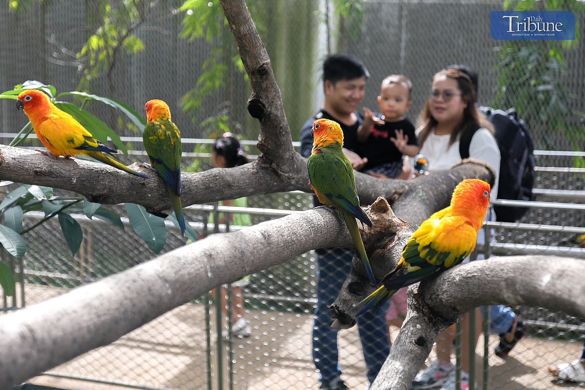 Explore the Philippines' First-Ever Biodome at Manila Ocean Park