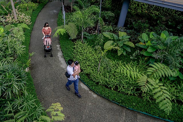 Explore the Philippines' First-Ever Biodome at Manila Ocean Park