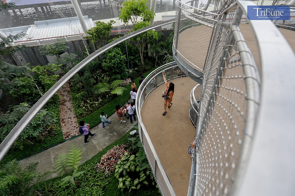 Explore the Philippines' First-Ever Biodome at Manila Ocean Park