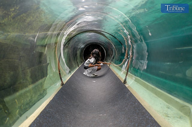 Explore the Philippines' First-Ever Biodome at Manila Ocean Park