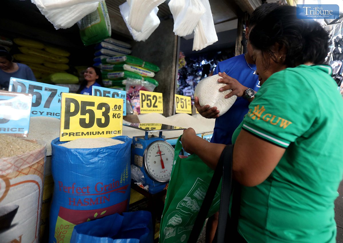 Imported Rice Price to Drop: New Rates Announced by Department of ...