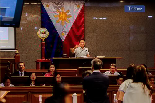 In photos — the Senate's first plenary session of 2025