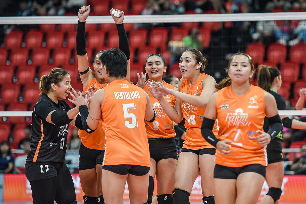 Returning PVL standouts make marks