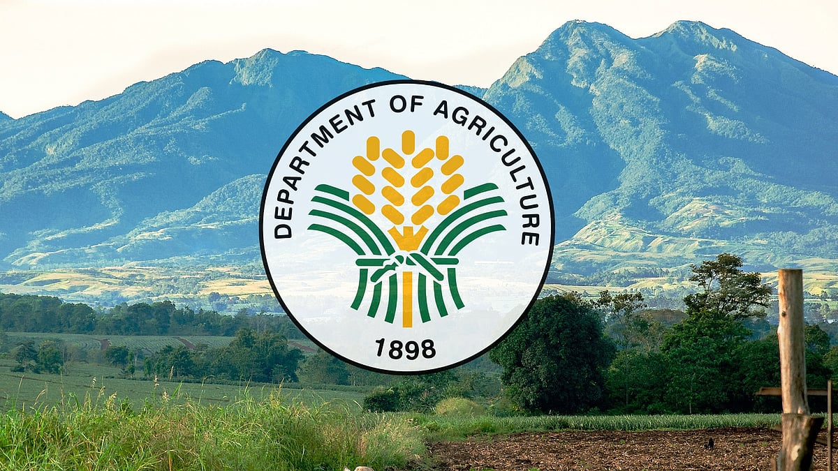 DA names Bulacan as top performing province