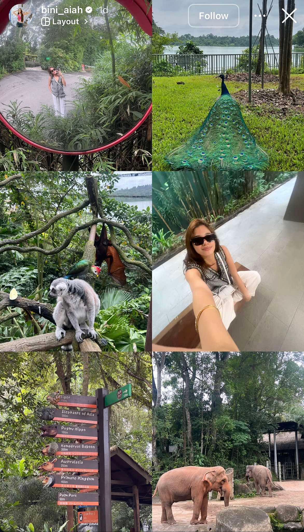 Aiah Arceta of BINI Marks Birthday with Memorable Solo Adventure in ...