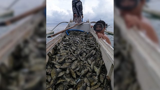 Cage watch: Volunteers support ‘Adlaw sa Danggit’ sustainable fishing