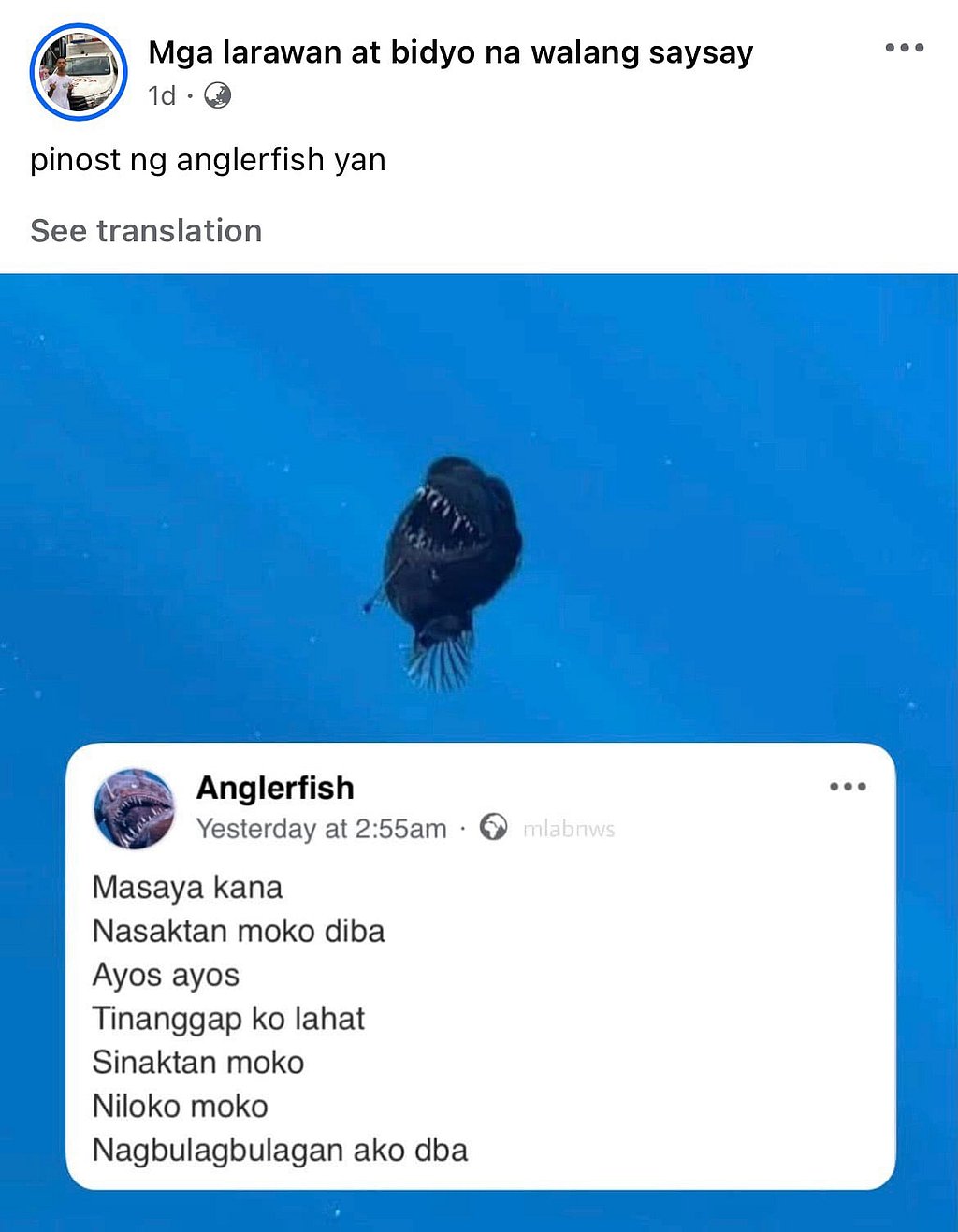 Tragic Anglerfish Death Sparks Internet Frenzy: From Tears to Memes