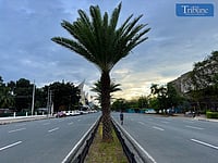 Explore the Art, Recreation, and Entertainment Zone of CCP Complex in ...