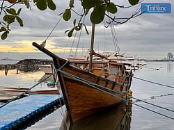 Explore the Art, Recreation, and Entertainment Zone of CCP Complex in ...