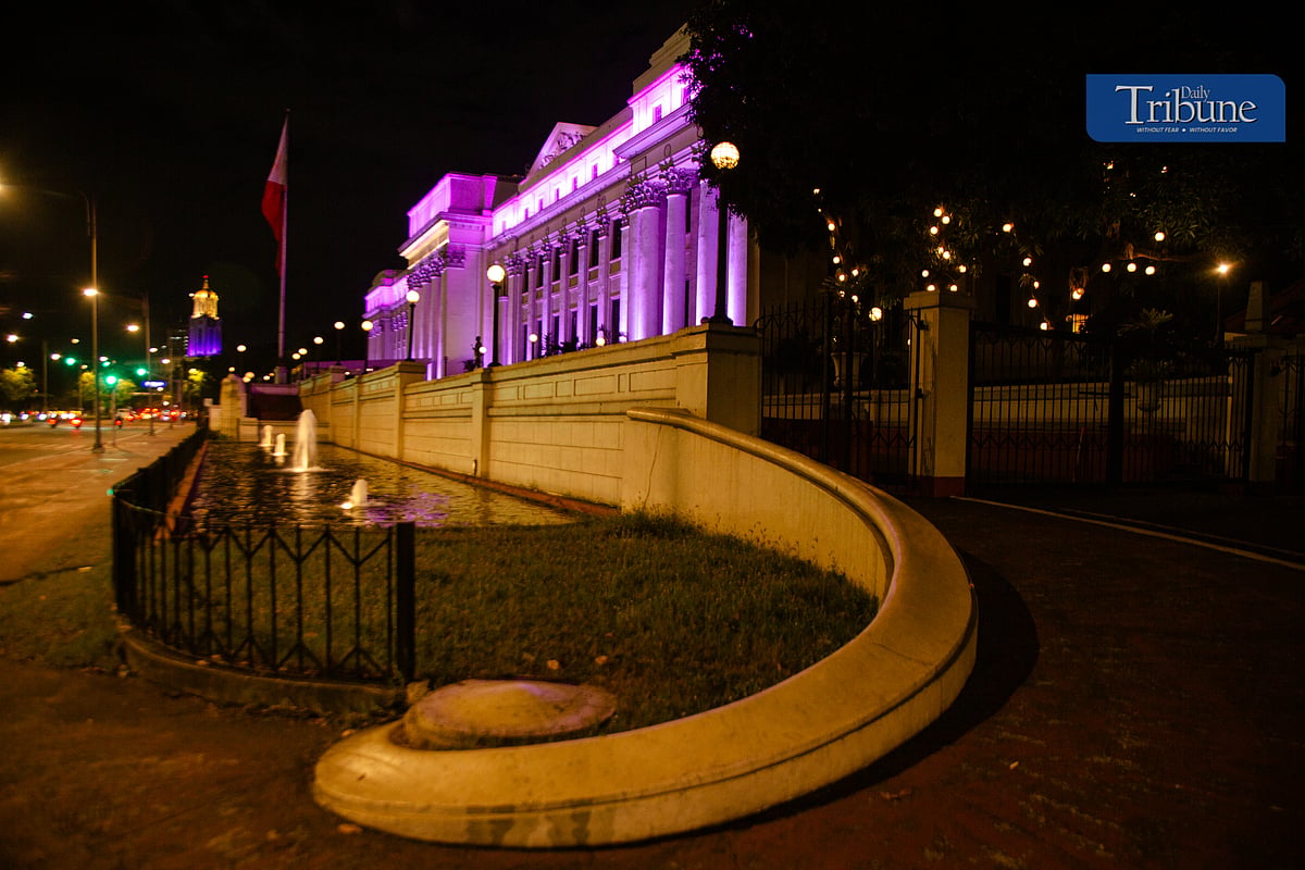 National Museum of Fine Arts Turns Purple for International Women’s Day