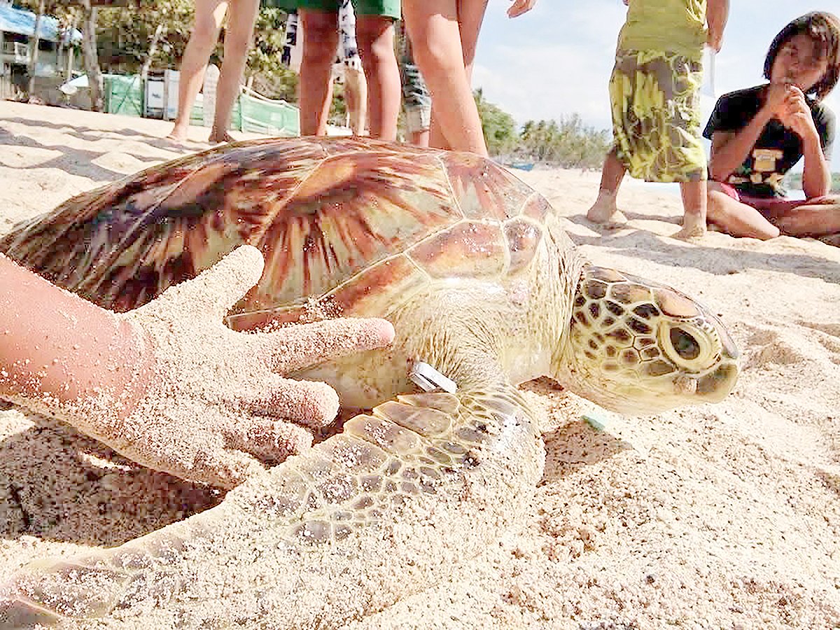 Explore Dahican, Mati: A Hidden Paradise in Davao Oriental