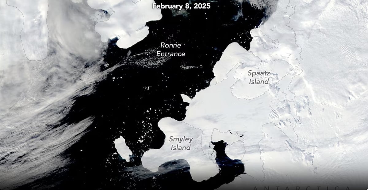 Antarctica's A84 Iceberg EXPOSES Hidden Ecosystem — 209 Square Miles ...