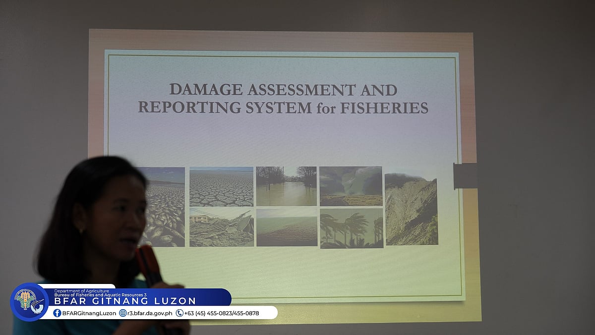 BFAR-3 conducts damage reporting workshop