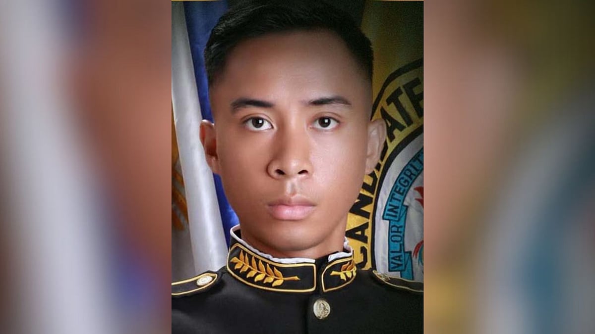Army officer killed in bee attack
