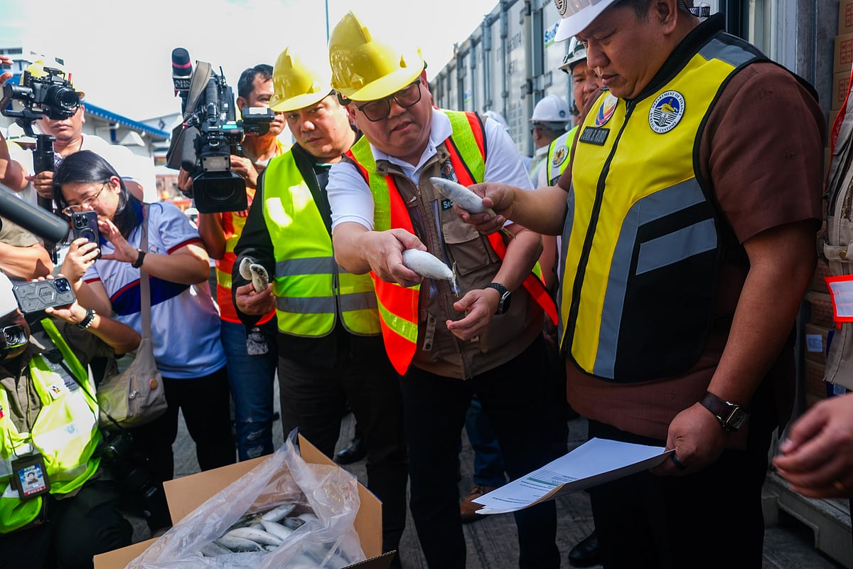 DA suspends new scad, mackerel imports