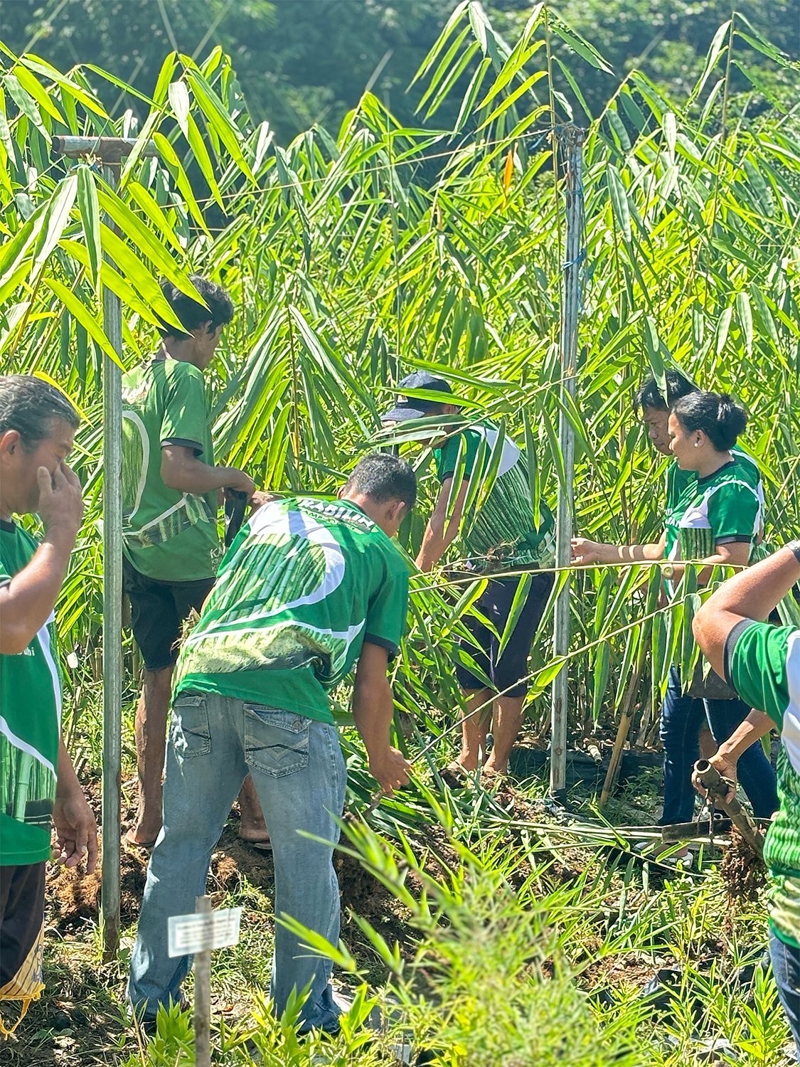 Hope takes root: Aboitiz starts 40-year green mission