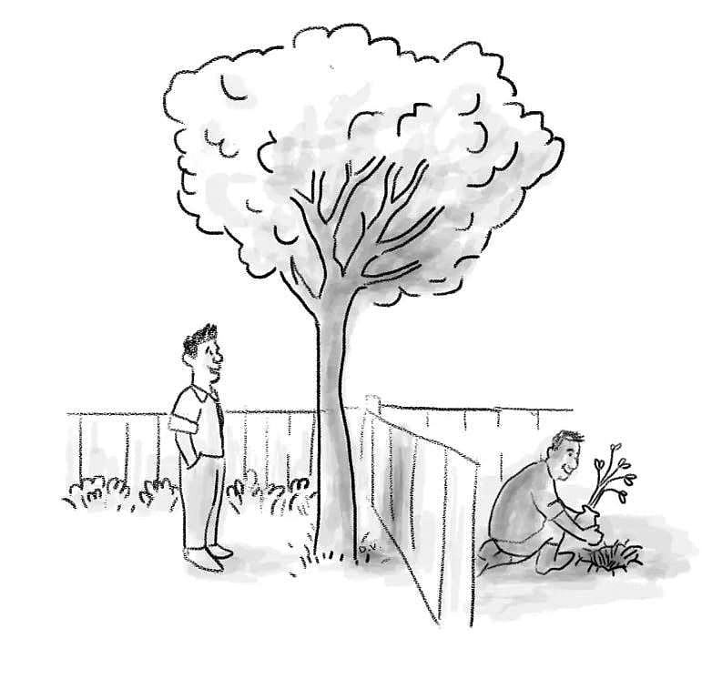 Unless a seed is planted, it will never grow