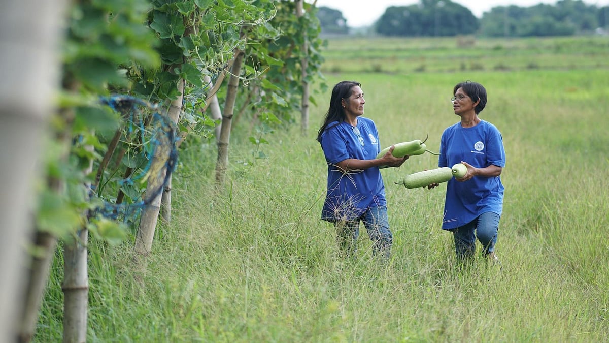 SM Foundation’s KSK empowers farmers to earn and dream bigger