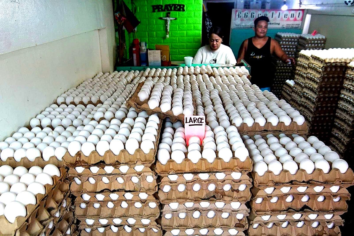 Group to launch cage-free tracker