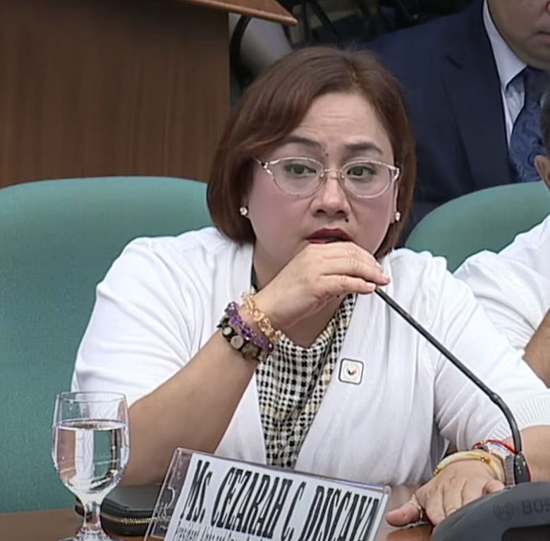 Discaya: Billions earned over years, not one DPWH project