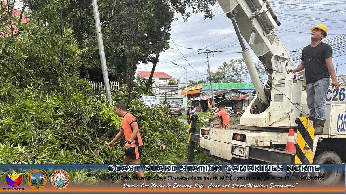 Two dead after tornado topples tree in Daet