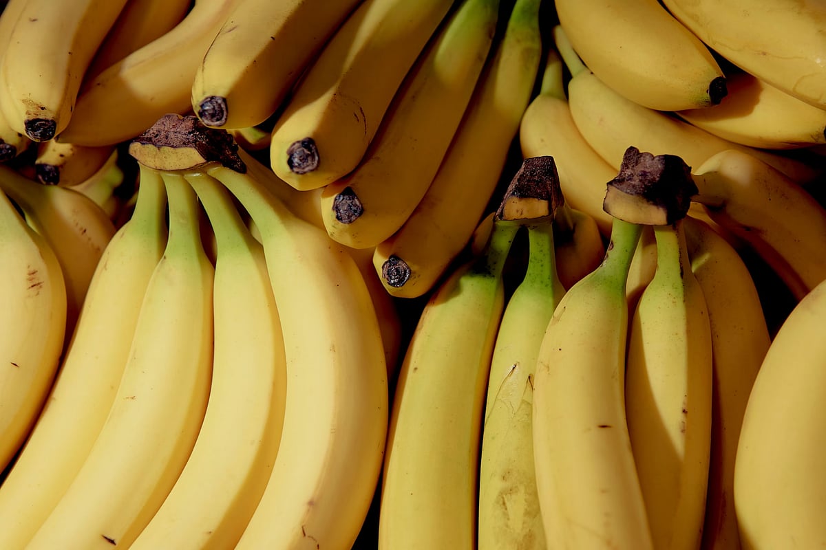 Lower Japan banana tariffs dominate talks